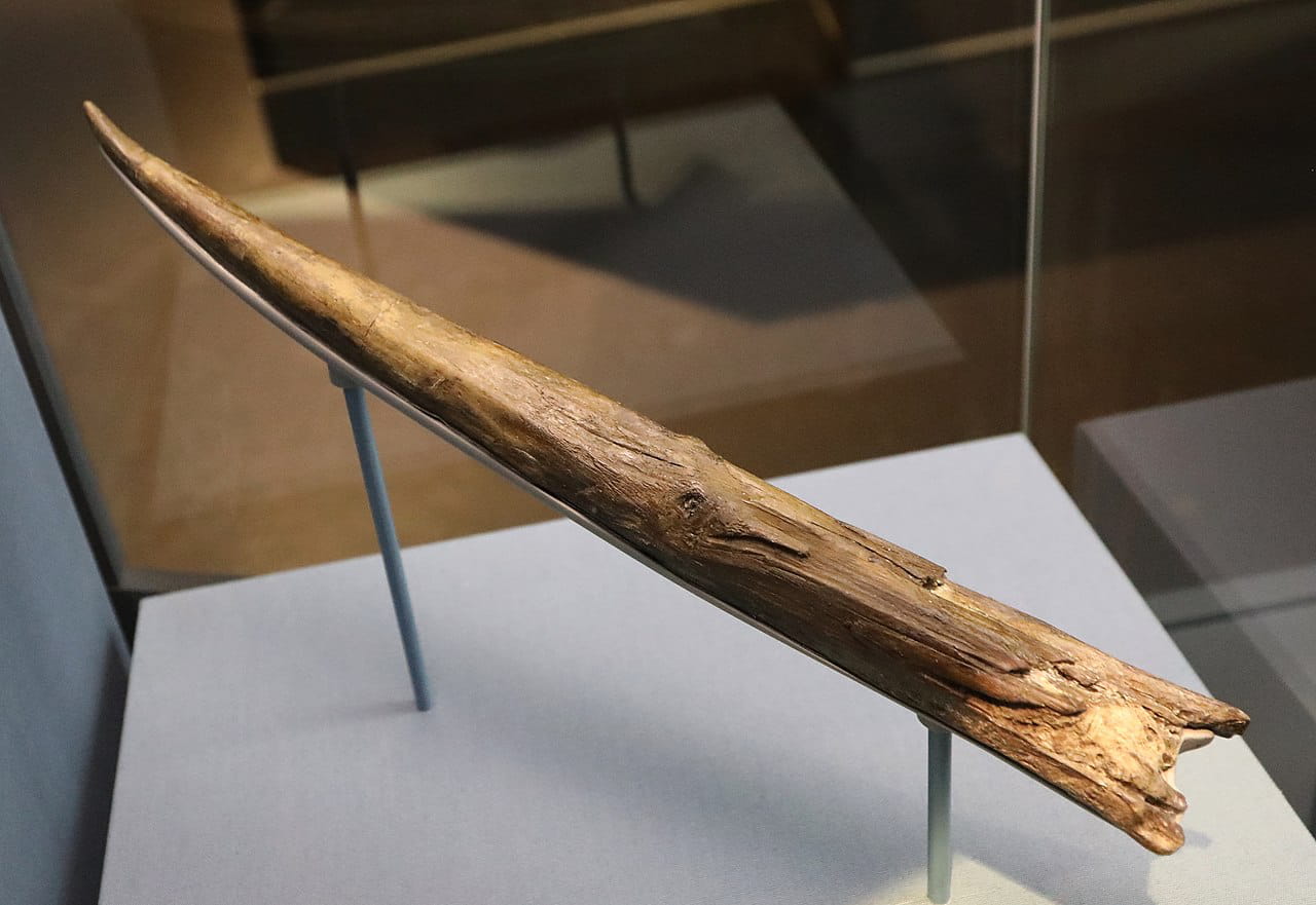 The Clacton Spear is the Oldest Known Wooden Tool