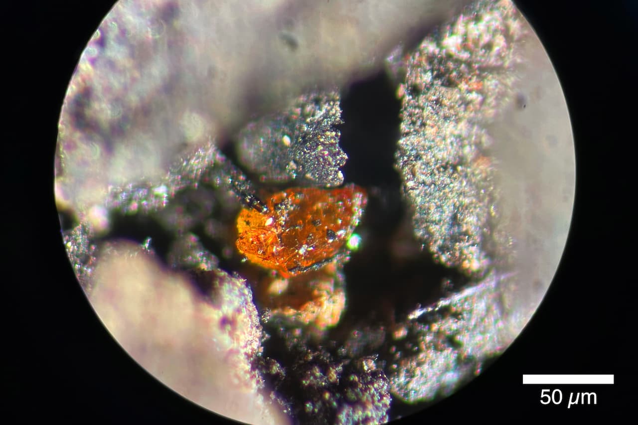 For the first time in history, scientists have found amber fragments in ...