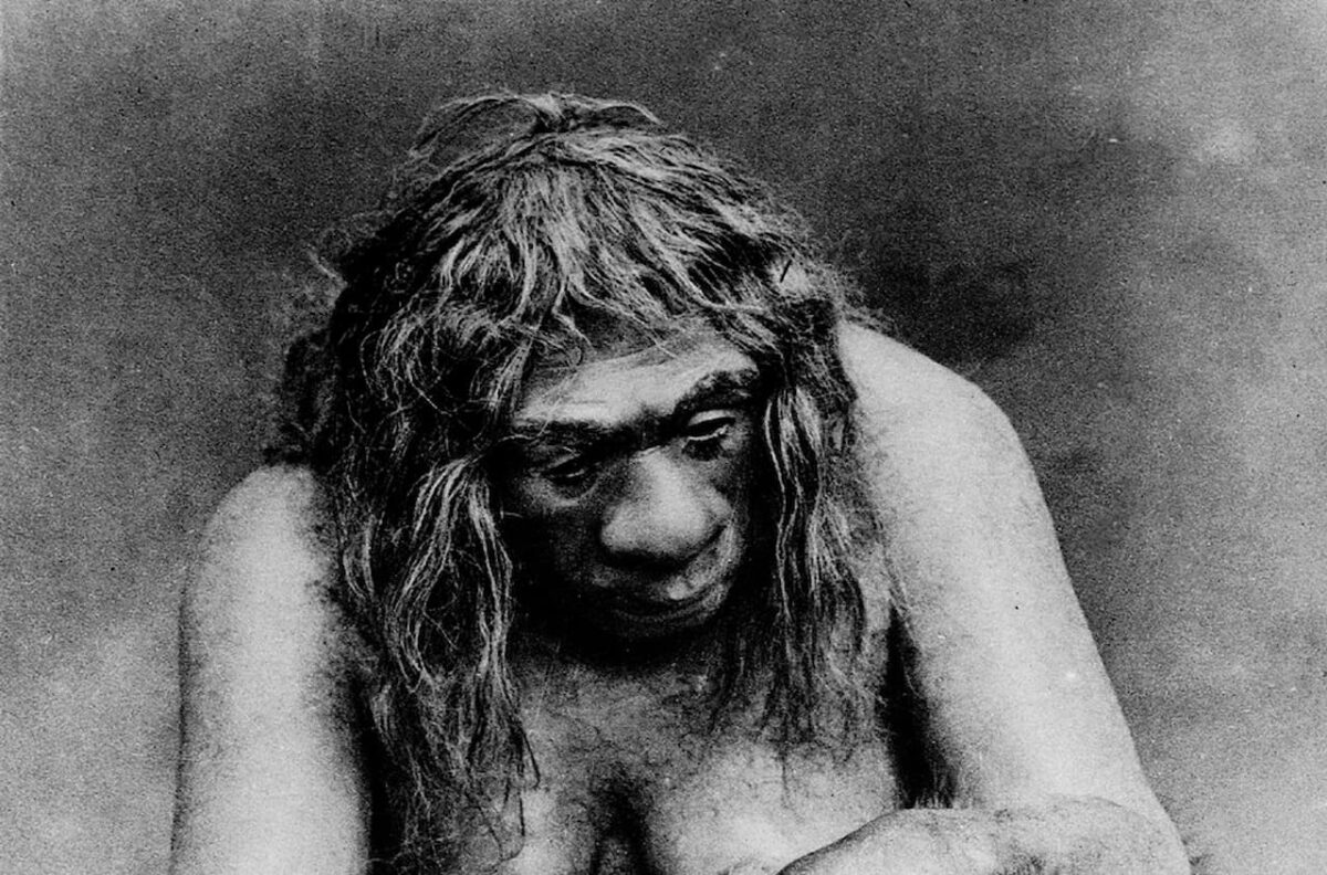 The Blood of Homo sapiens Explains How They Survived, While That of ...