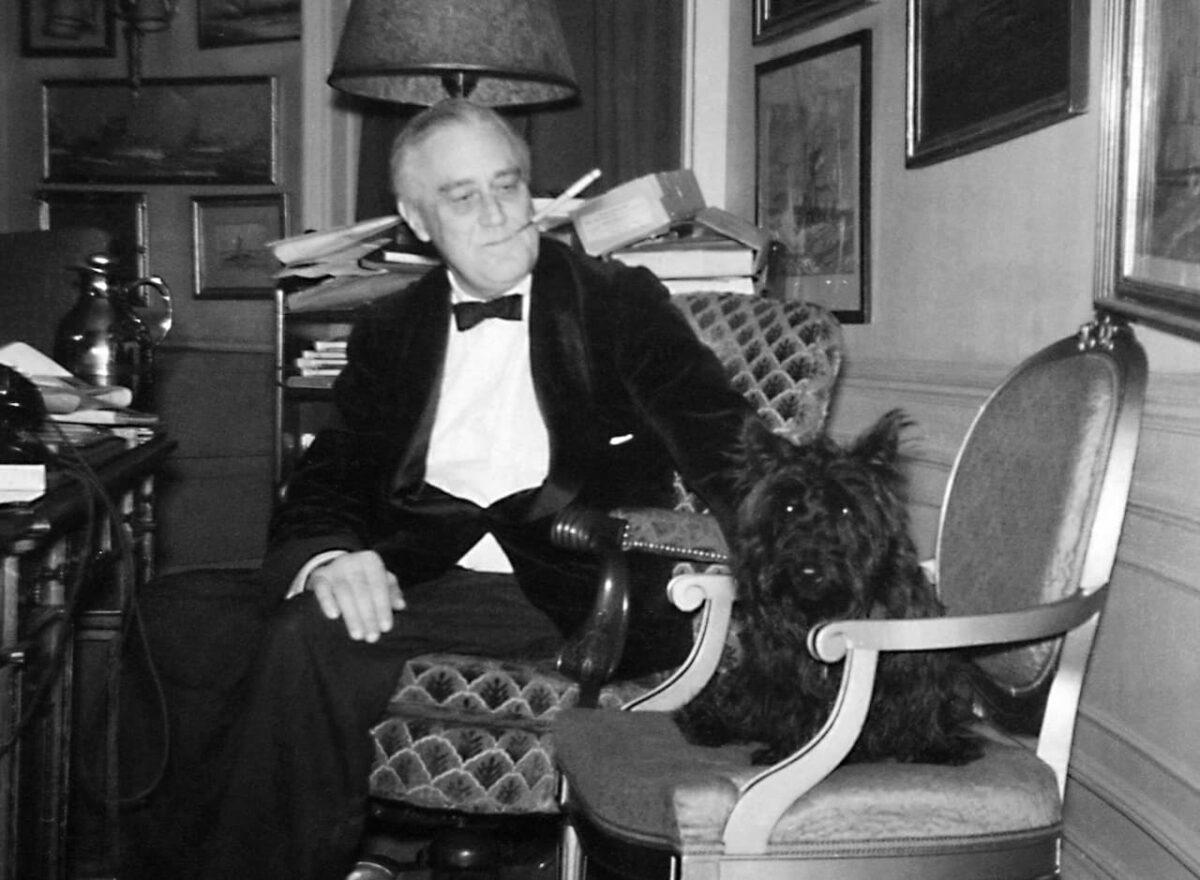 The Story of Fala, the Dog Who Inspired President Franklin D. Roosevelt ...