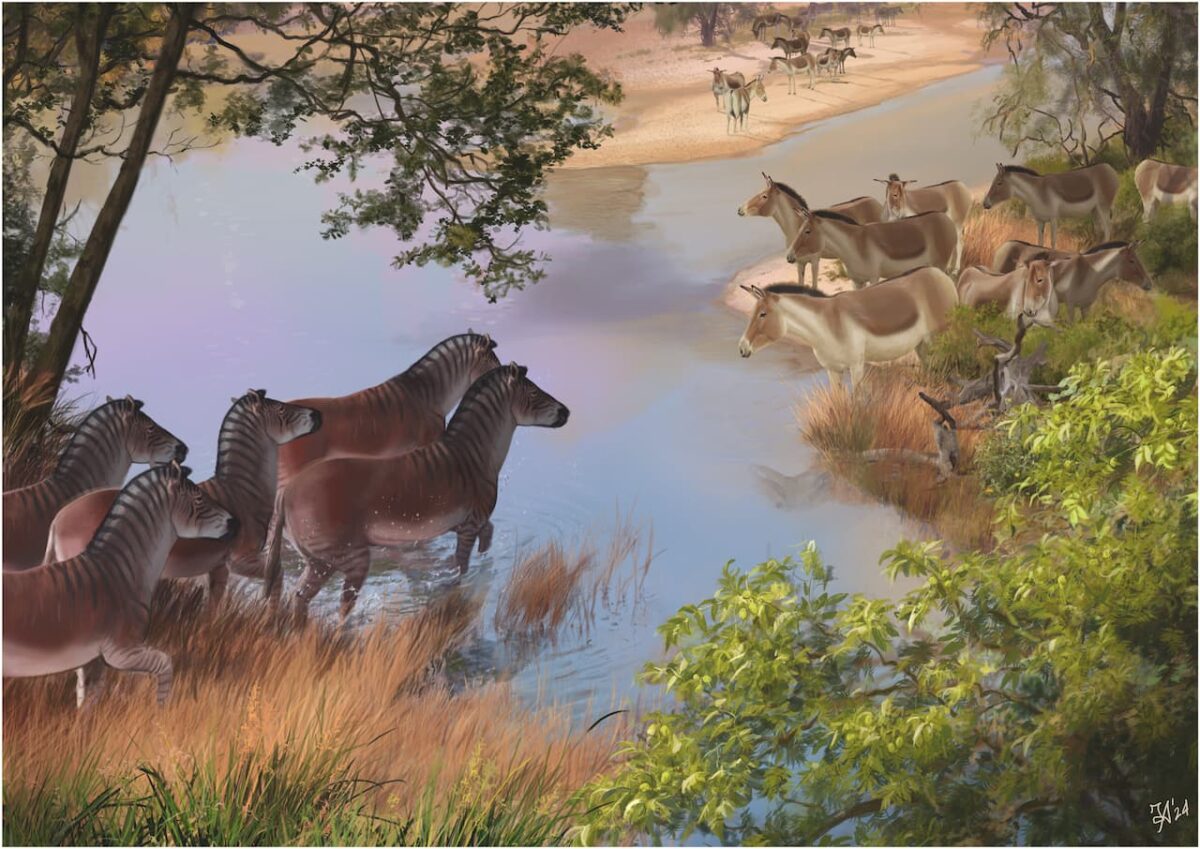 What Did Prehistoric Horses Look Like