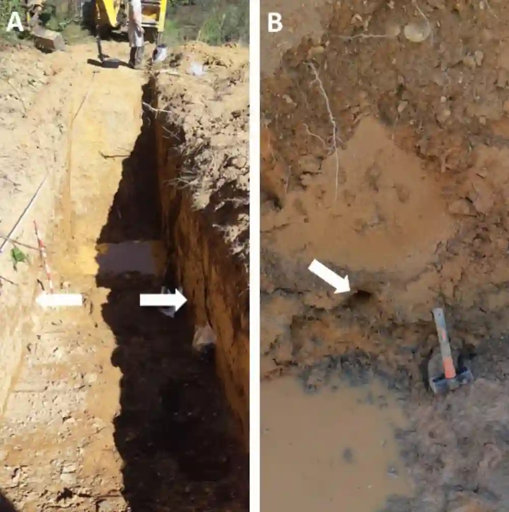 Definitive evidence of Roman alluvial gold mines found near ancient ...