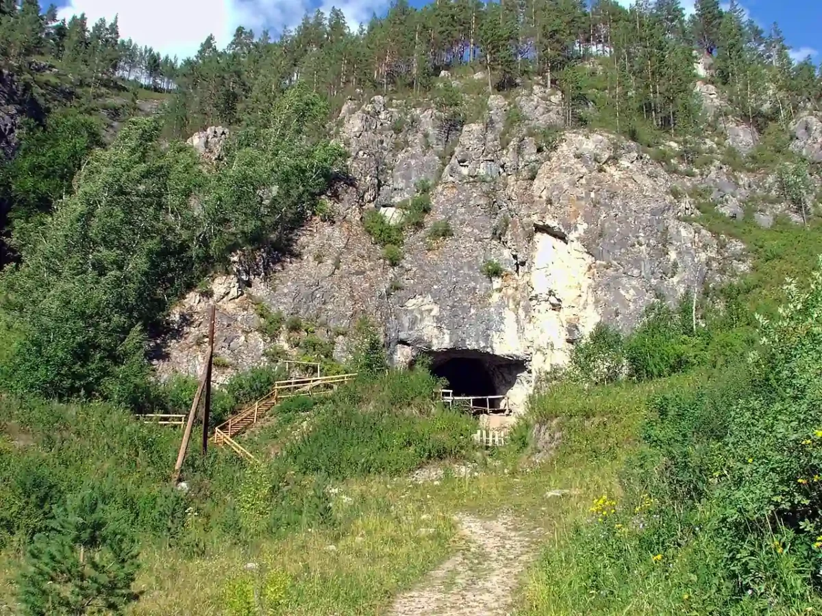 Scientists sequence the genome of a 110,000-year-old Neanderthal and ...