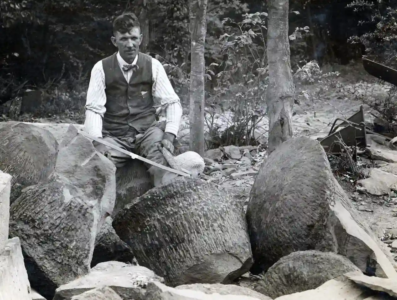 The Fascinating Story of Wattieza, the Oldest Known Tree That Formed ...