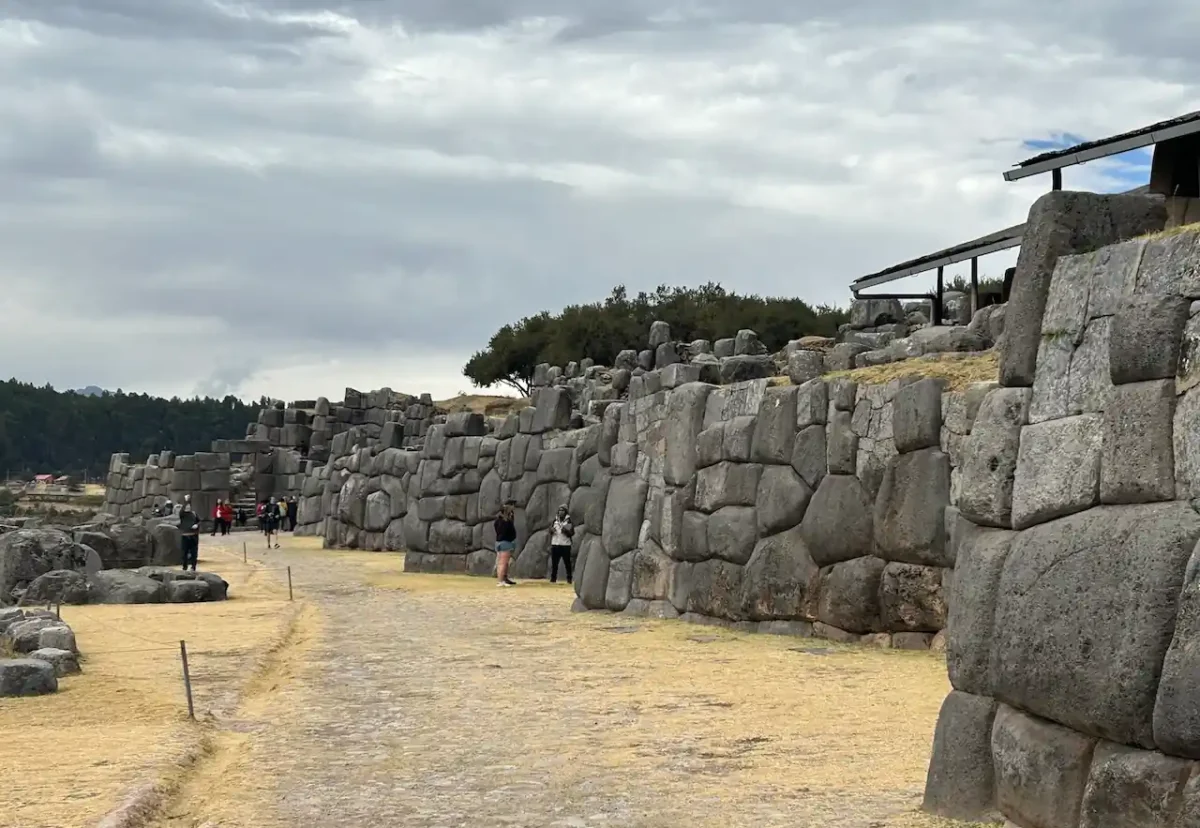 Hidden Urban System of Roads, Terraces, and Structures Discovered in ...