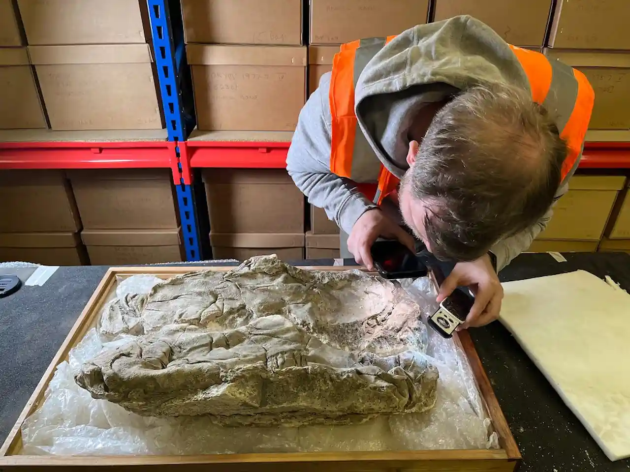 Two Roman Babies Were Buried in York with Imperial Purple and Gold, a ...