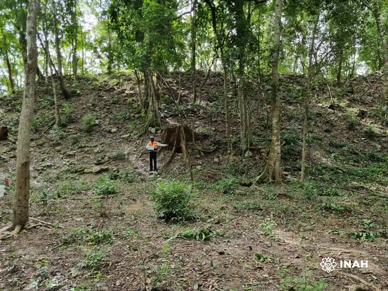 A Maya Settlement with 80 Buildings, Vaults, and Mural Painting ...