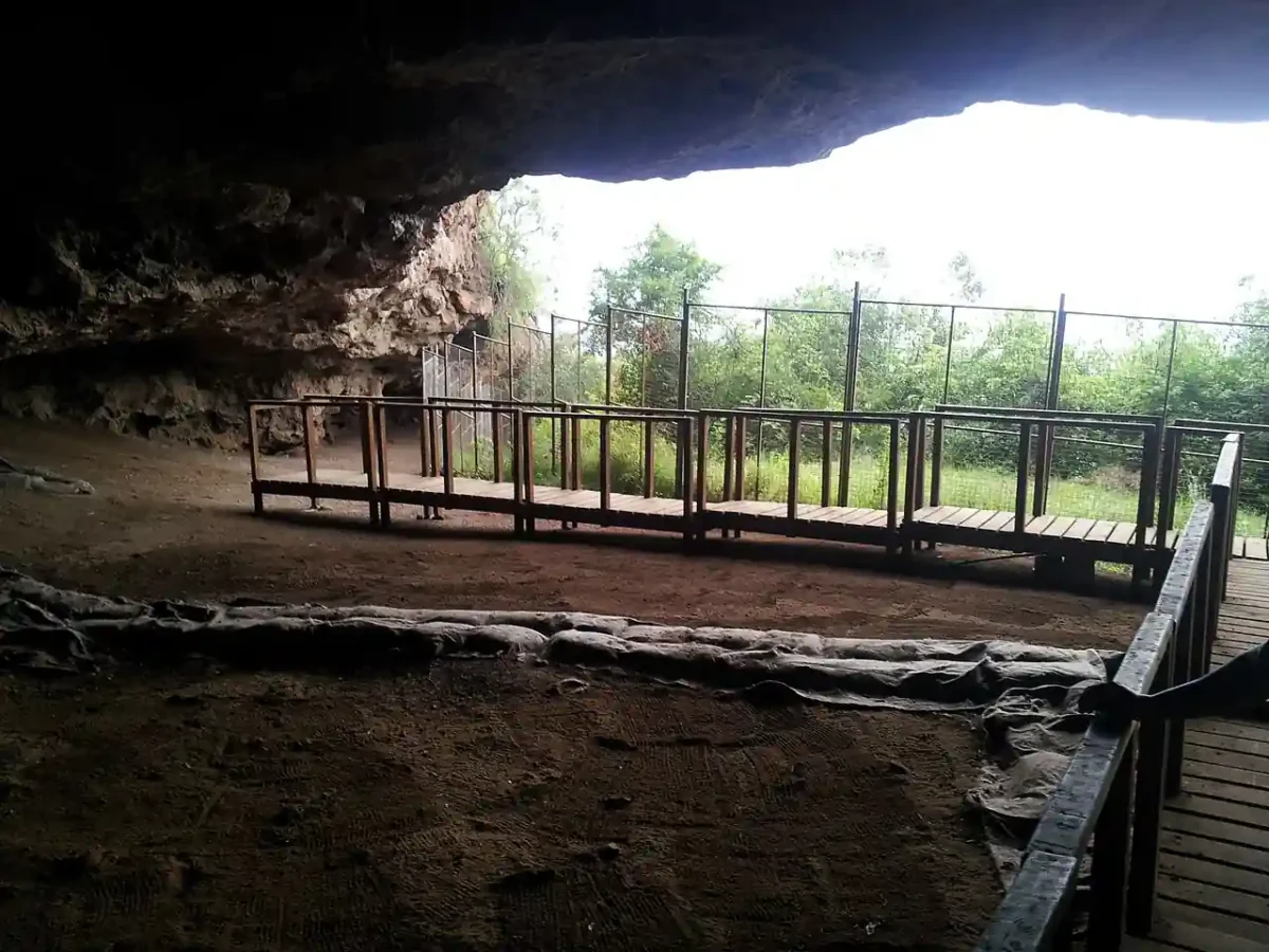 Stone Age humans were already sleeping on beds prepared with grass over ...