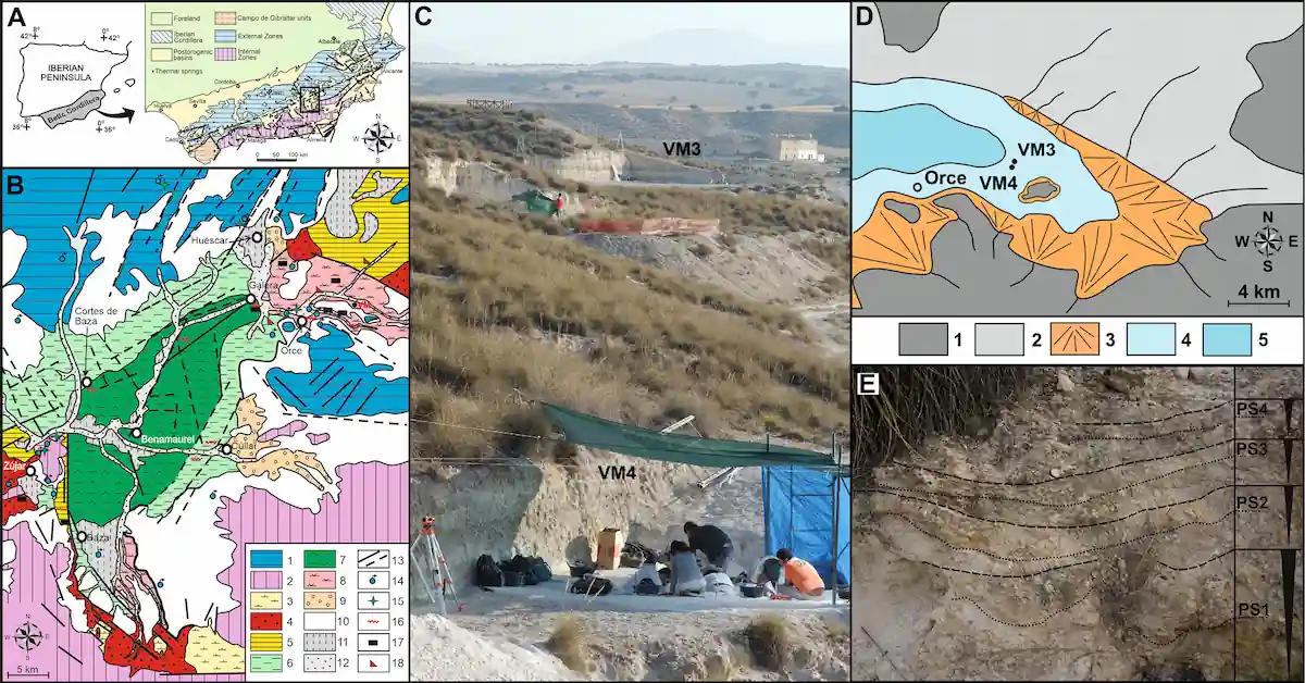 Fossils of the Oldest Giant Crane in Europe and the Oldest Raven in the ...
