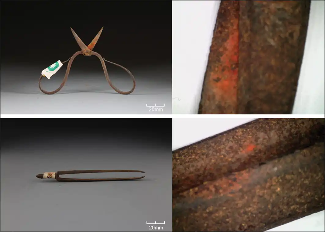 Residues of a Lethal Toxin Found in Medieval Medical Instruments Reveal ...
