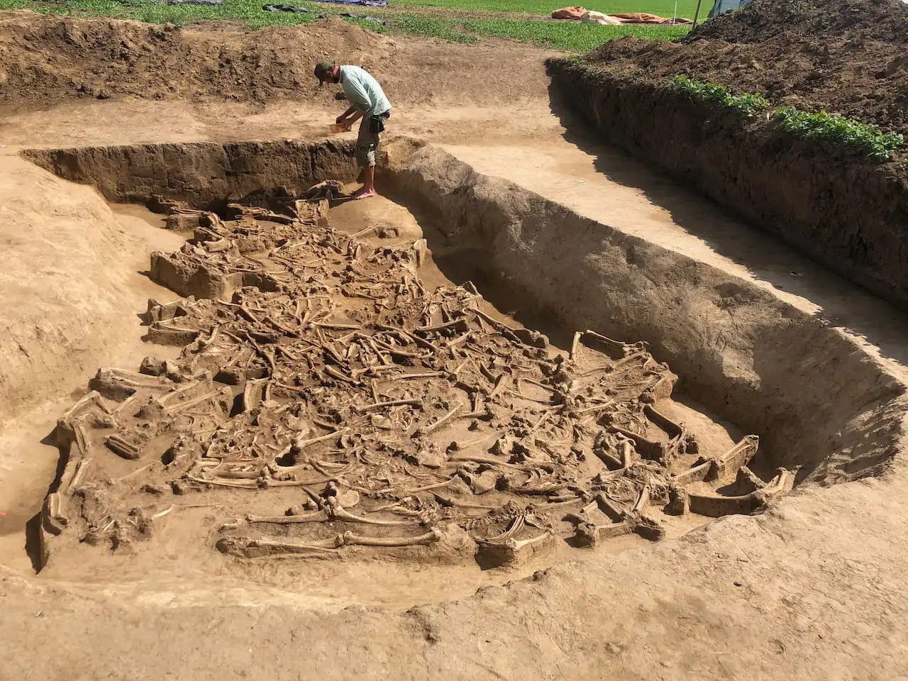 Dozens of Headless Skeletons Found in Slovakia Point to Neolithic ...