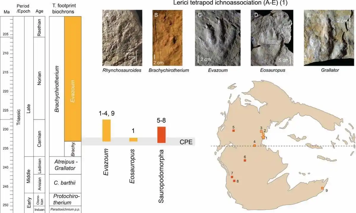 Fossil footprints found in Italy reveal the earliest evidence of when ...
