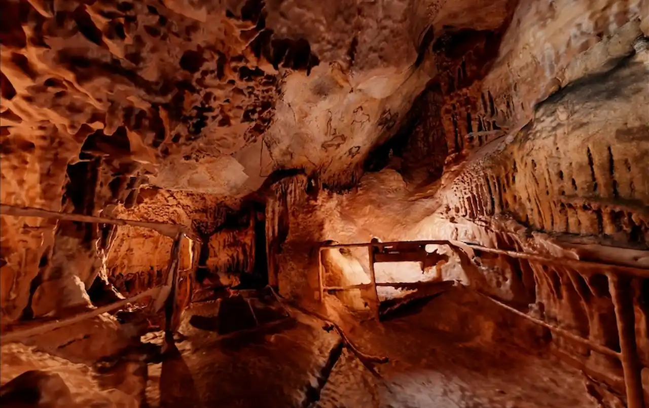 Paleolithic Cave Art Was Not Random: A Study Reveals a Hidden “Grammar ...