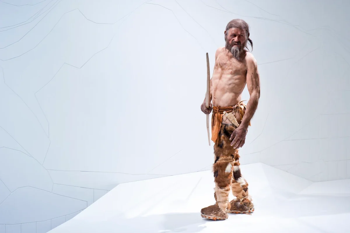 Some microbes found in Ötzi, the Iceman, are still alive after 5,000 ...