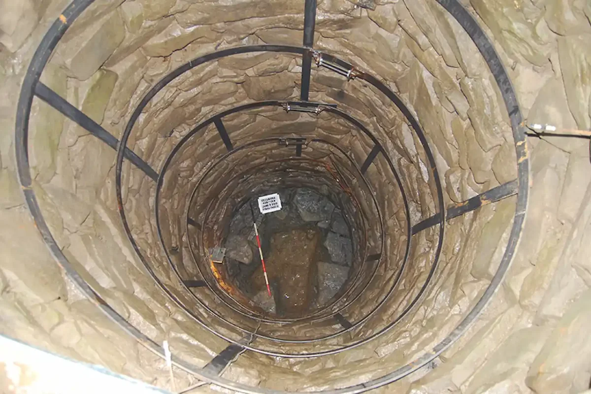 2,000-Year-Old Grape Seeds in a 32-Meter-Deep Etruscan Well Reveal ...