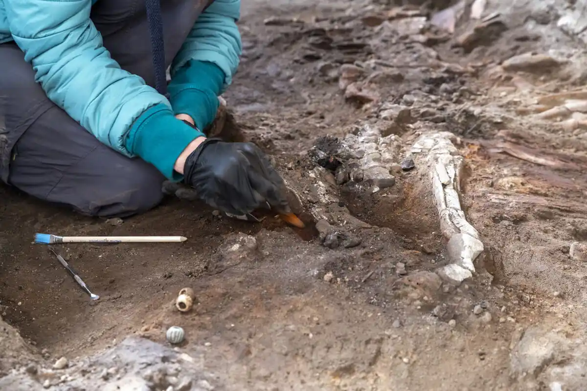Two Horses Found in Pompeii That Were Buried Alive in a Bakery After ...
