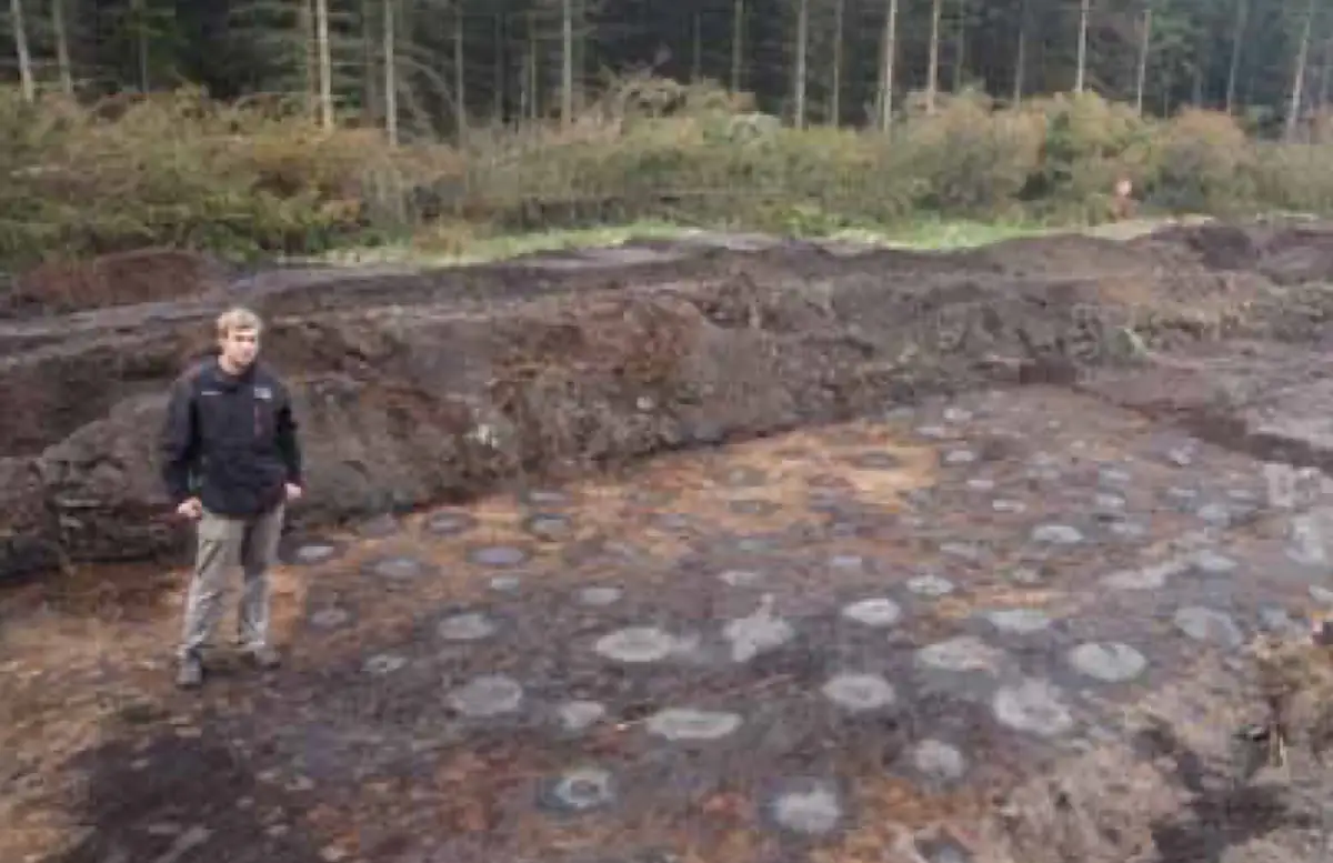 Enigmatic Iron Age “hole belts” in Denmark may be defensive structures ...