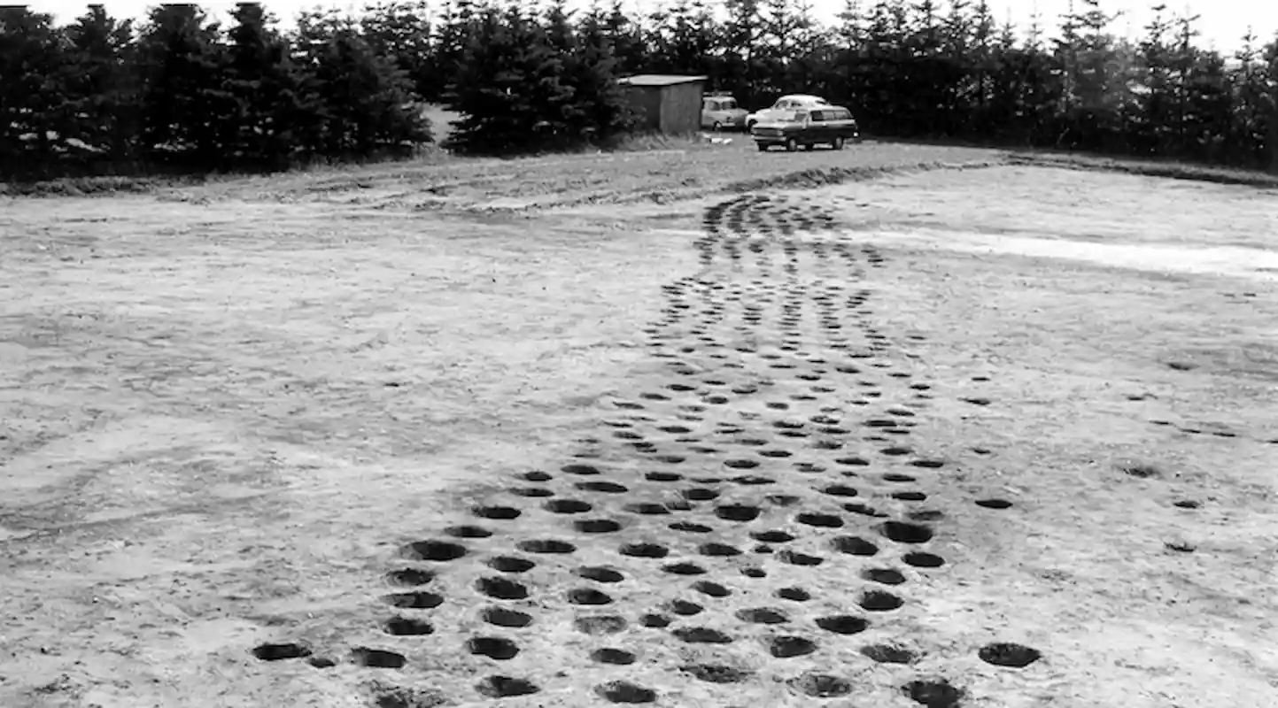 Enigmatic Iron Age “hole belts” in Denmark may be defensive structures ...