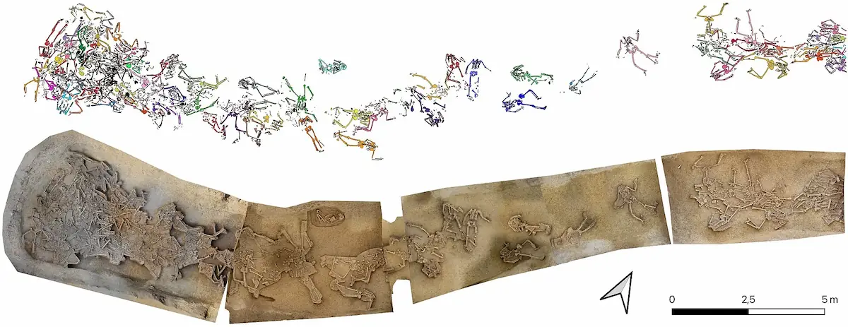 Dozens of Headless Skeletons Found in Slovakia Point to Neolithic ...