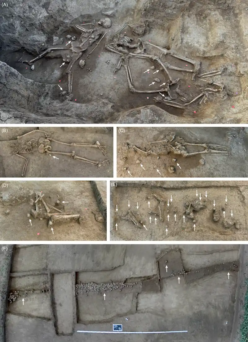 Dozens of Headless Skeletons Found in Slovakia Point to Neolithic ...