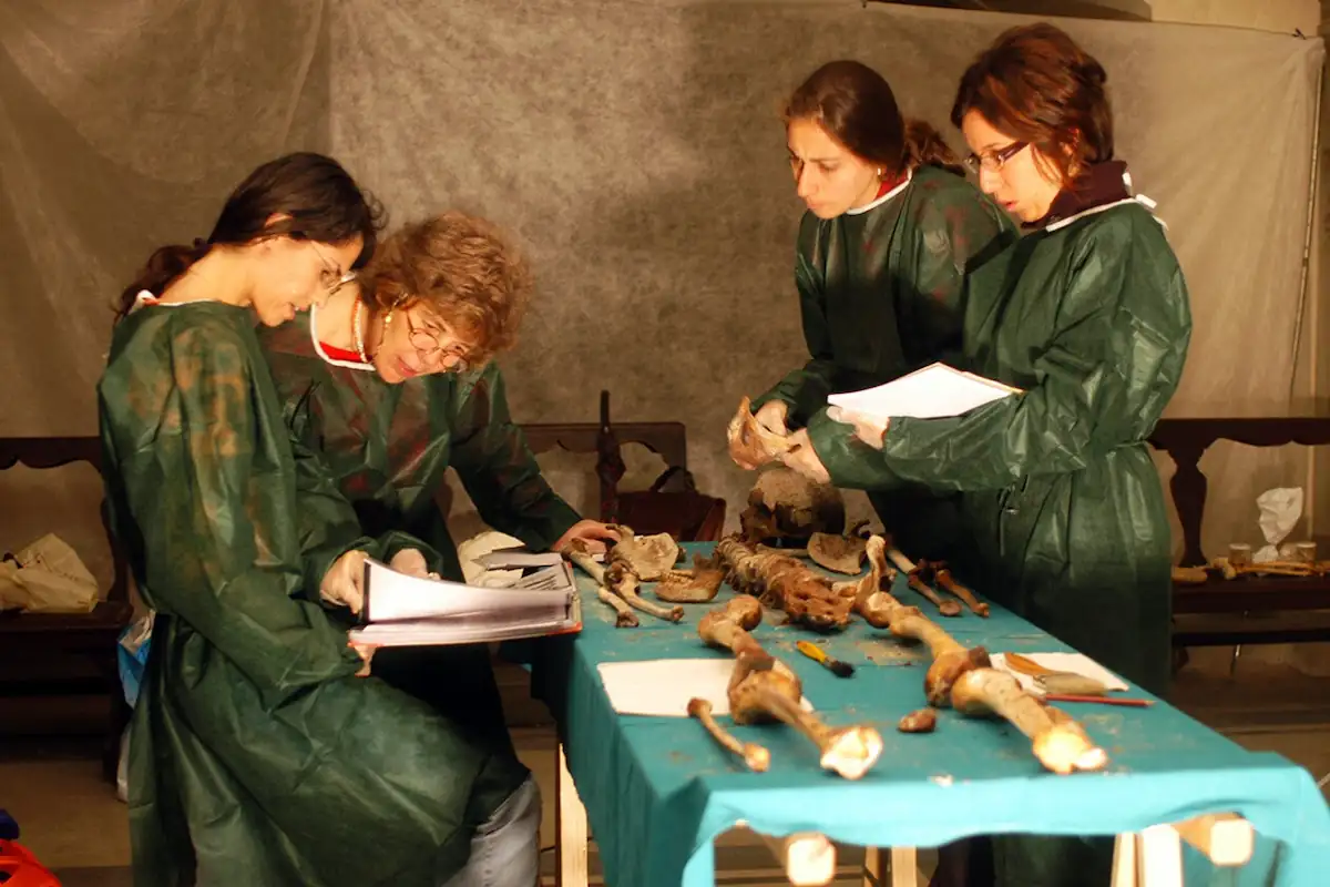 Scientists Solve the Mystery of the Death of the Medici Brothers ...