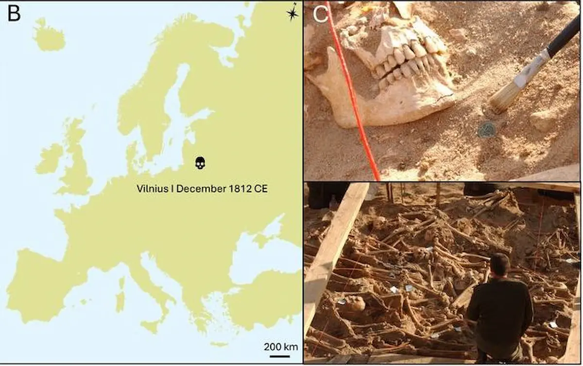 Lice and Pickled Beets: Pathogens That Decimated Napoleon’s Army During ...