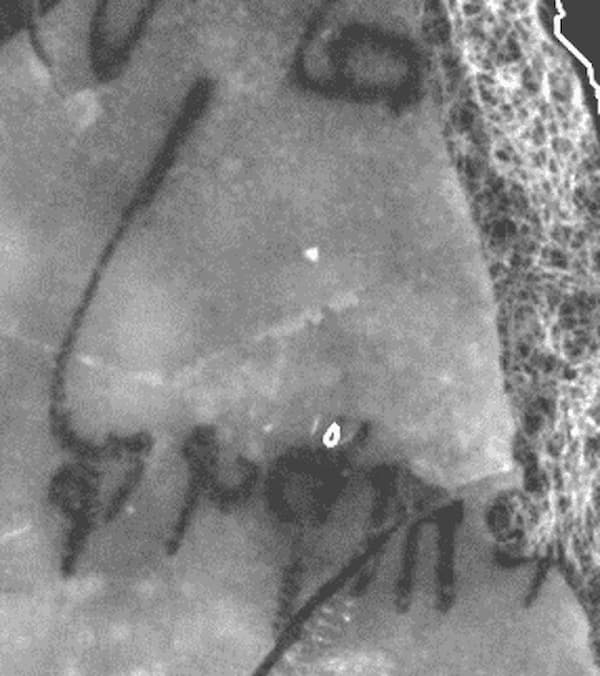 A Millennia-Old Code Deciphered: Researcher Reveals the Secret of the ...